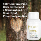 BIOGENA Pycnogenol for overall wellness