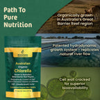 Biogenesis superfood chlorella benefits