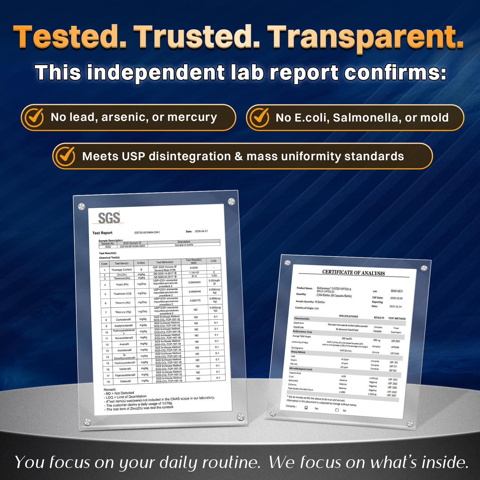 BioHarmony oyster extract for vitality