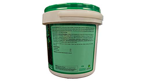 Biologically balanced trace minerals