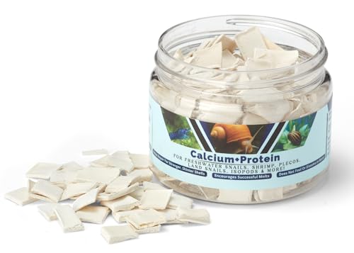 Biologist calcium supplement for strong bones