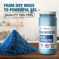 Biolore Sea Moss Gel benefits