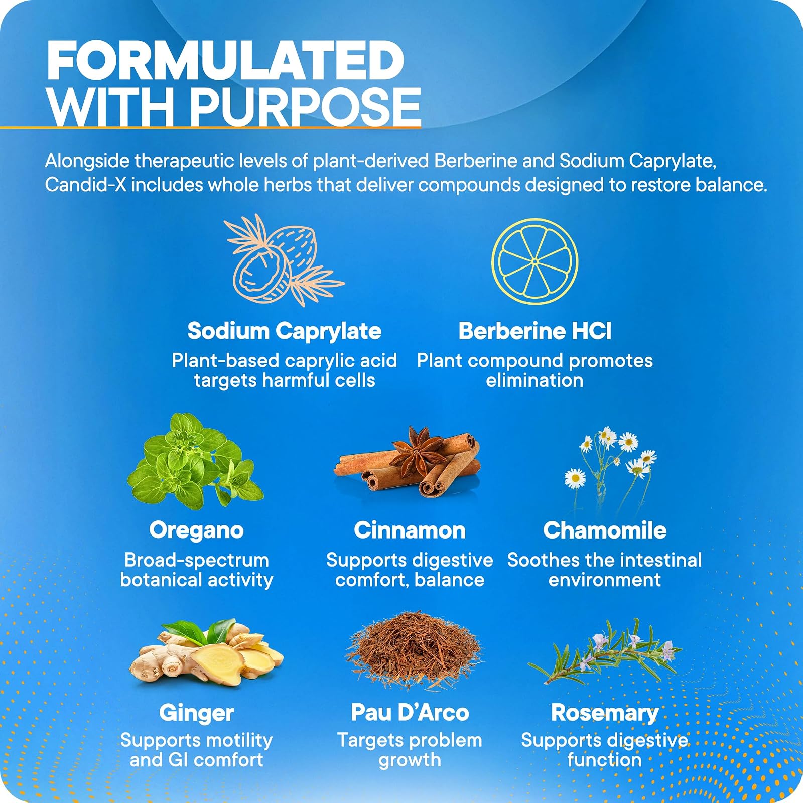 BioMatrix Candida cleanse for balance