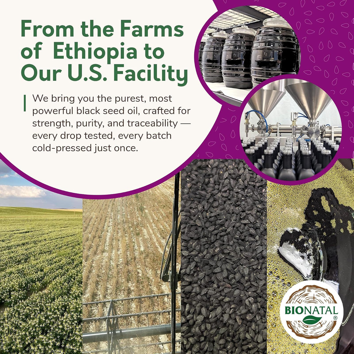 BioNatal black seed oil quality