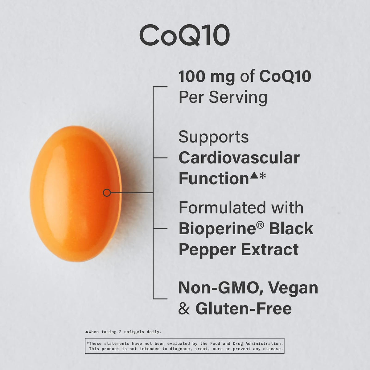 bioperine enhanced coq10 absorption