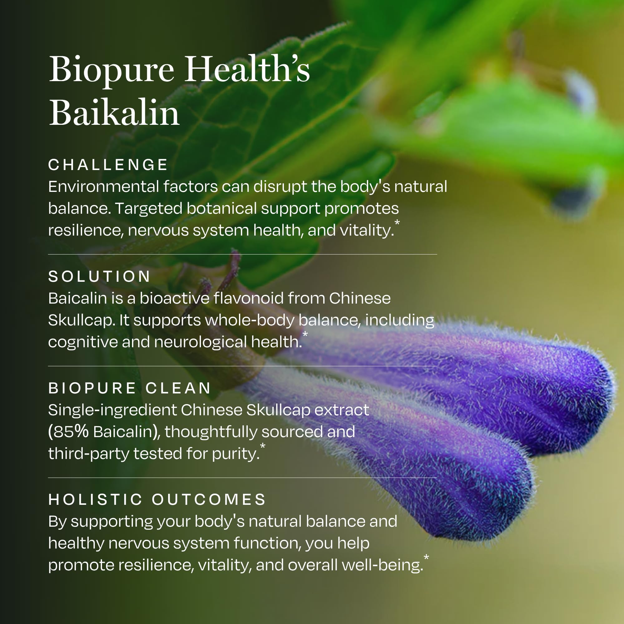 BioPure vitamin supplement for energy