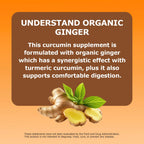 BioRoot Labs herbal turmeric formula