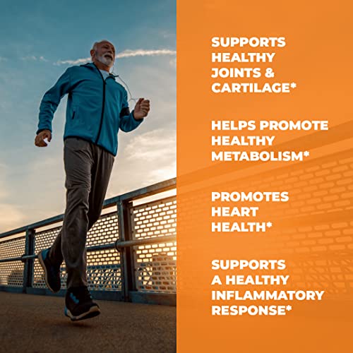 bioroot labs turmeric 30 day supply