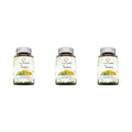 bioroot labs turmeric antioxidant support