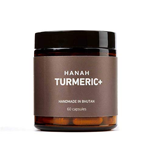 bioroot labs turmeric antioxidant support