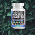 bioroot labs turmeric daily booster