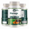 bioroot labs turmeric digestive health