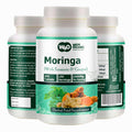 bioroot labs turmeric digestive support