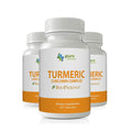 bioroot labs turmeric extract benefits