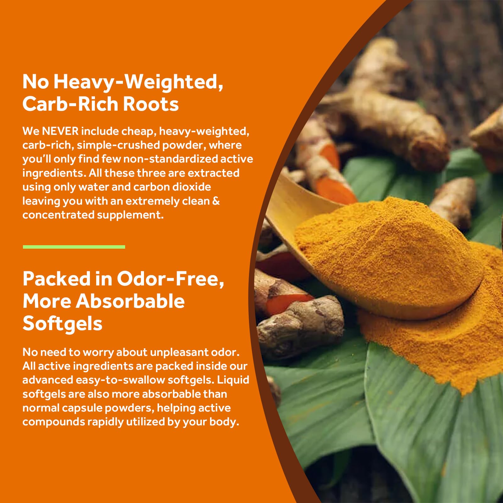 bioroot labs turmeric for active lifestyle