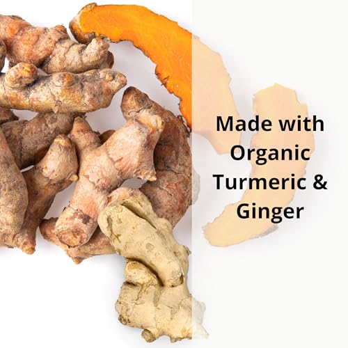 bioroot labs turmeric for active lifestyle