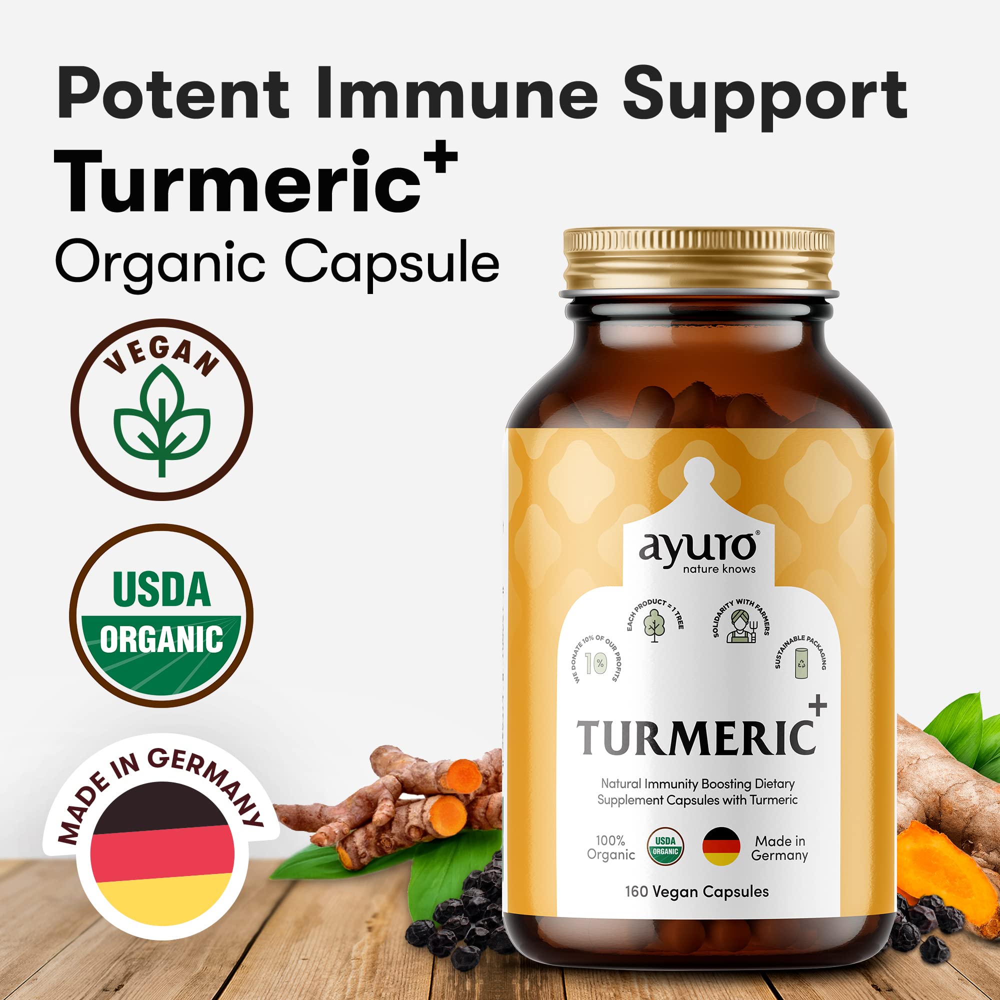 bioroot labs turmeric for daily nutrition
