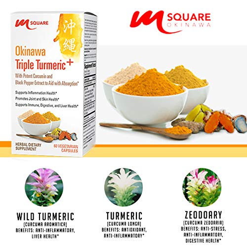 bioroot labs turmeric for holistic health