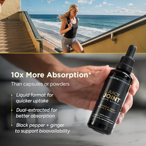 bioroot labs turmeric for holistic wellness