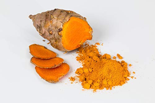 bioroot labs turmeric for immune support