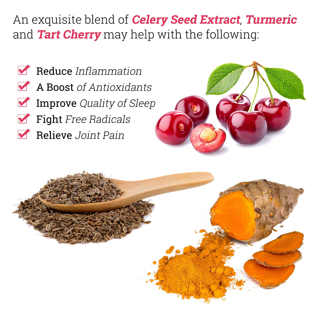 bioroot labs turmeric for inflammation relief