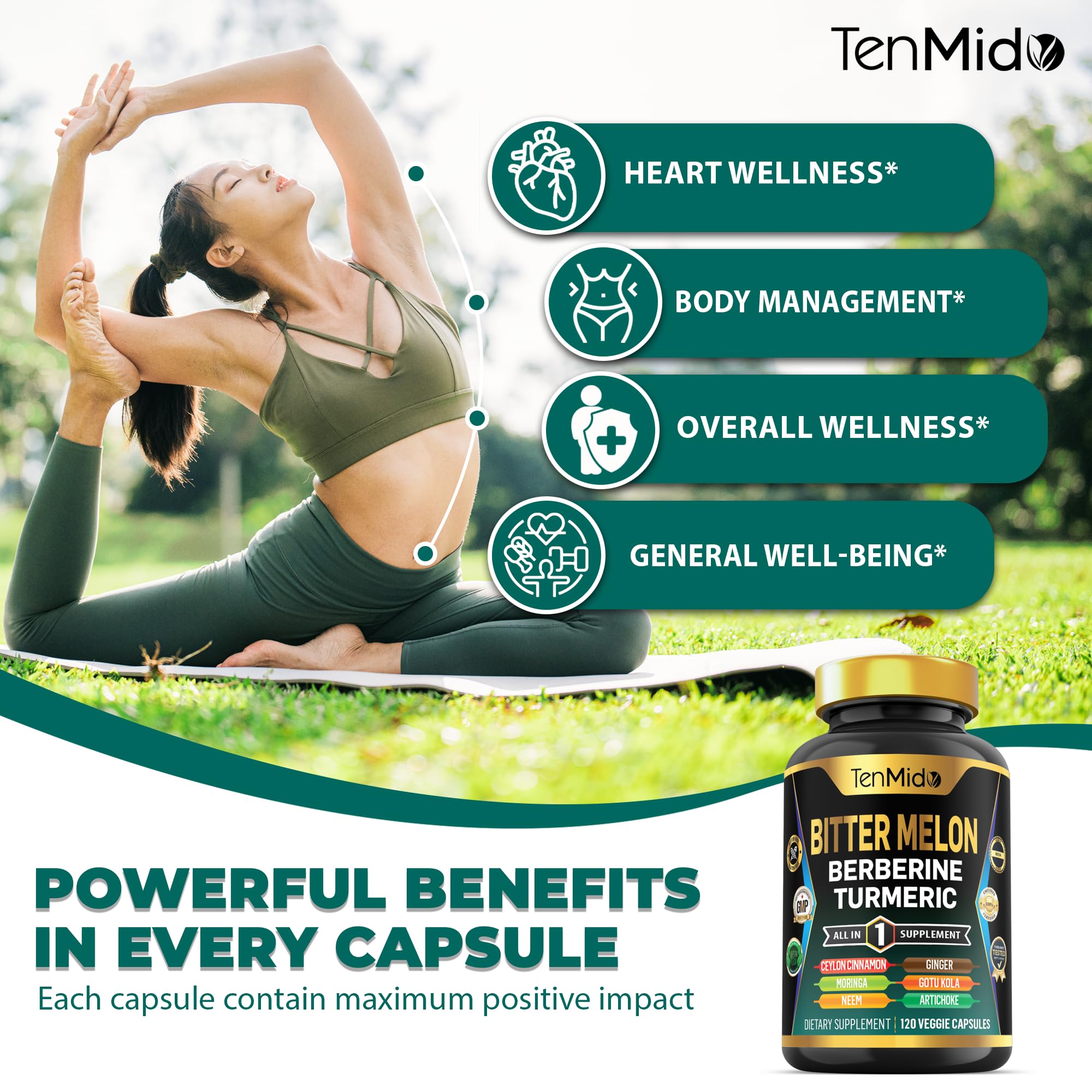 bioroot labs turmeric for inflammation