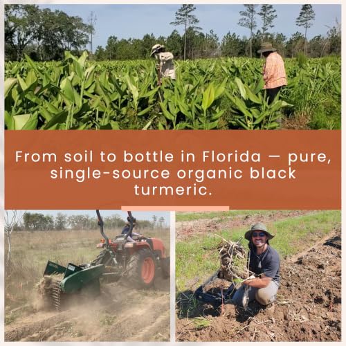 bioroot labs turmeric for inflammation