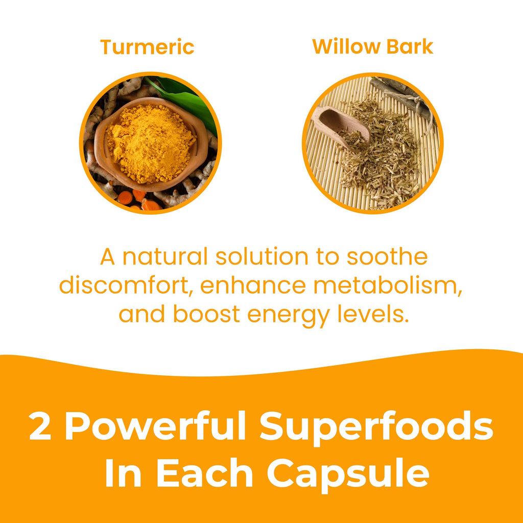 bioroot labs turmeric for joint health
