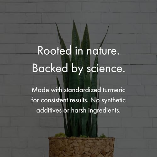 bioroot labs turmeric for vitality