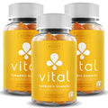 bioroot labs turmeric gummies for joints