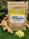Bioroot Labs turmeric health benefits