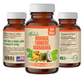 bioroot labs turmeric health benefits