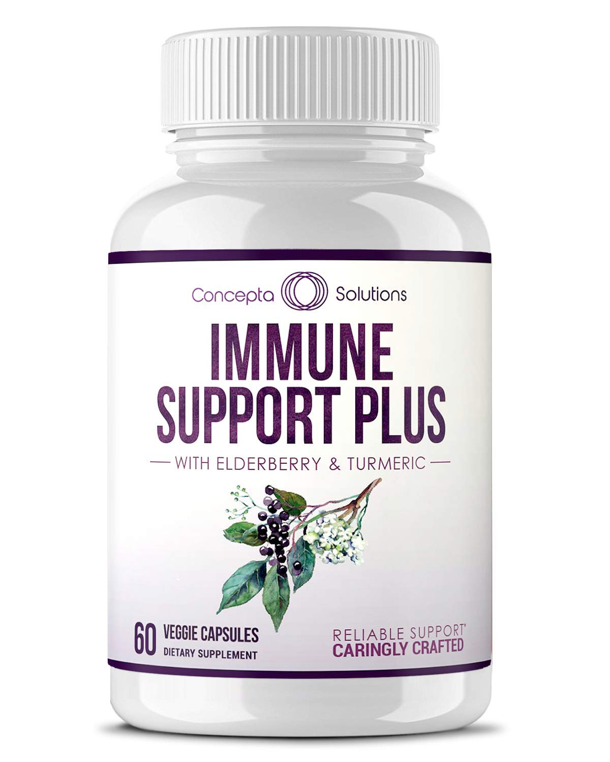 bioroot labs turmeric immune support