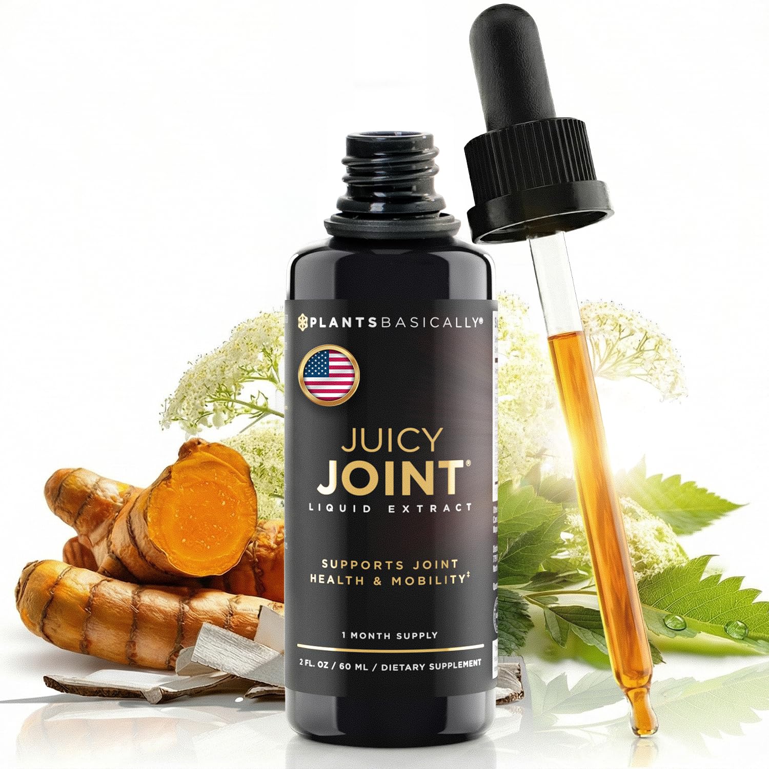 bioroot labs turmeric joint support
