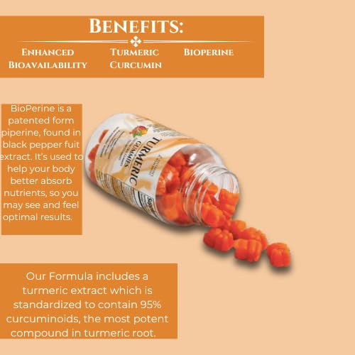 Bioroot Labs turmeric joint support
