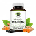 bioroot labs turmeric joint support