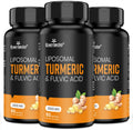 bioroot labs turmeric softgels