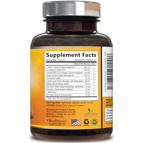 bioRoot Labs turmeric supplement benefits