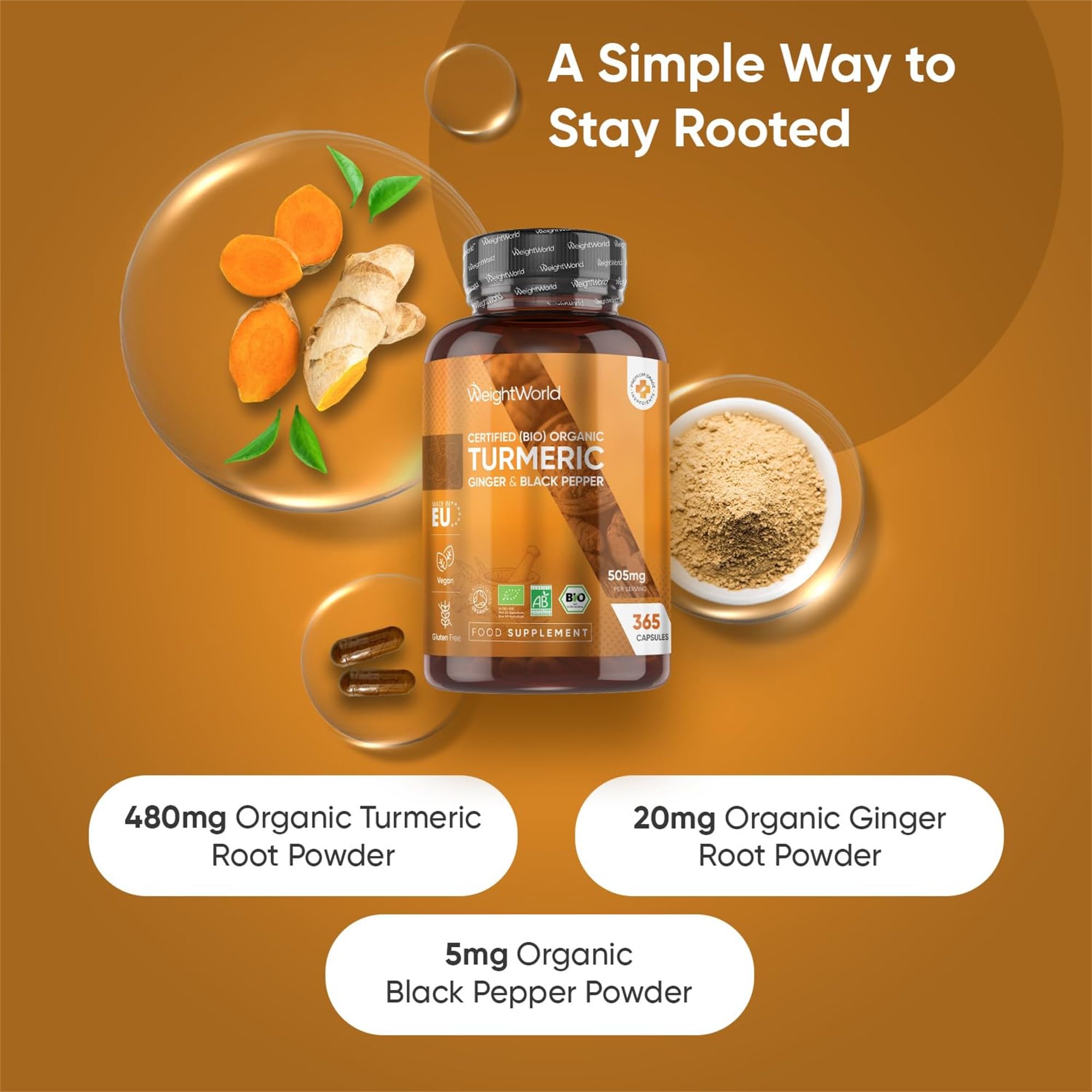 bioroot labs turmeric supplement