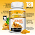 bioroot labs turmeric vegetarian capsules