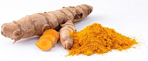 bioroot labs turmeric veggie caps