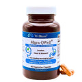 bioroot labs turmeric wellness capsules