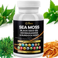 Bioroot Labs turmeric wellness supplement