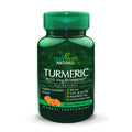 bioroot labs turmeric wellness support