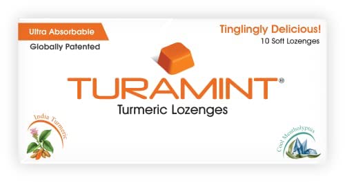 bioroot labs turmeric wellness support