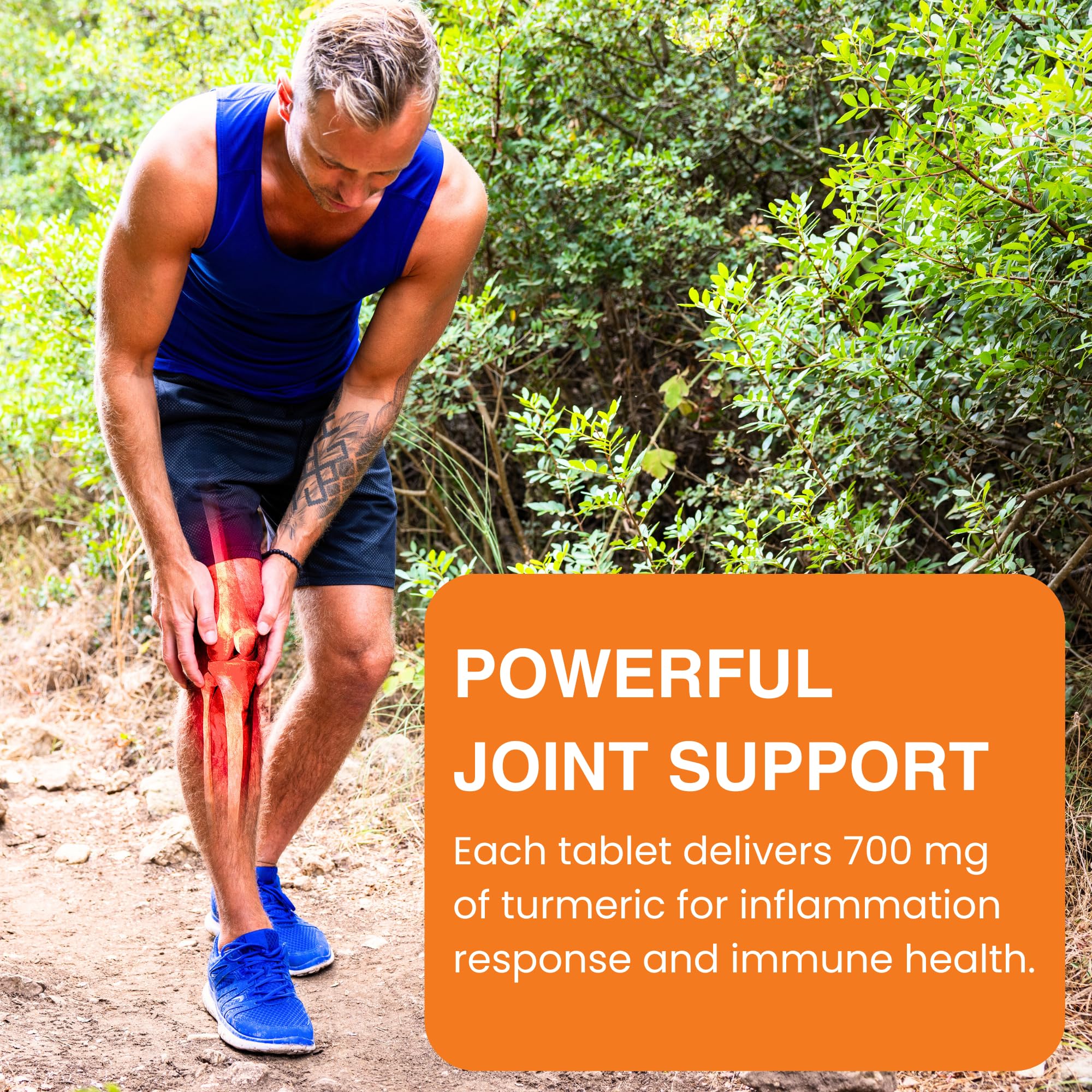 bioroot turmeric 700 mg tablets