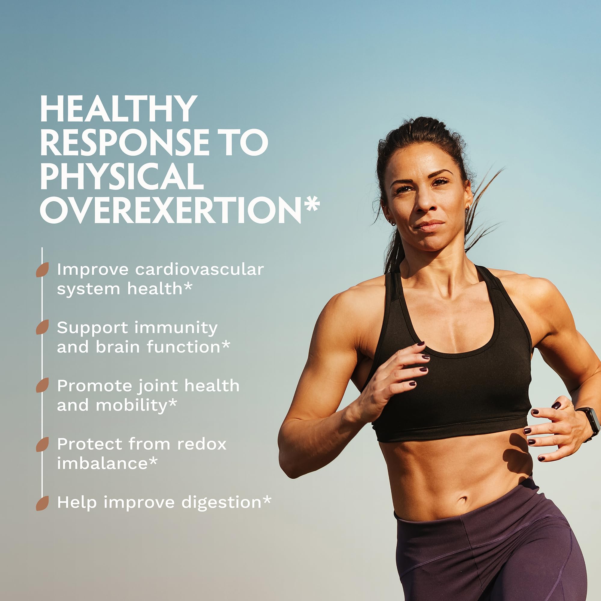 bioroot turmeric for active lifestyle