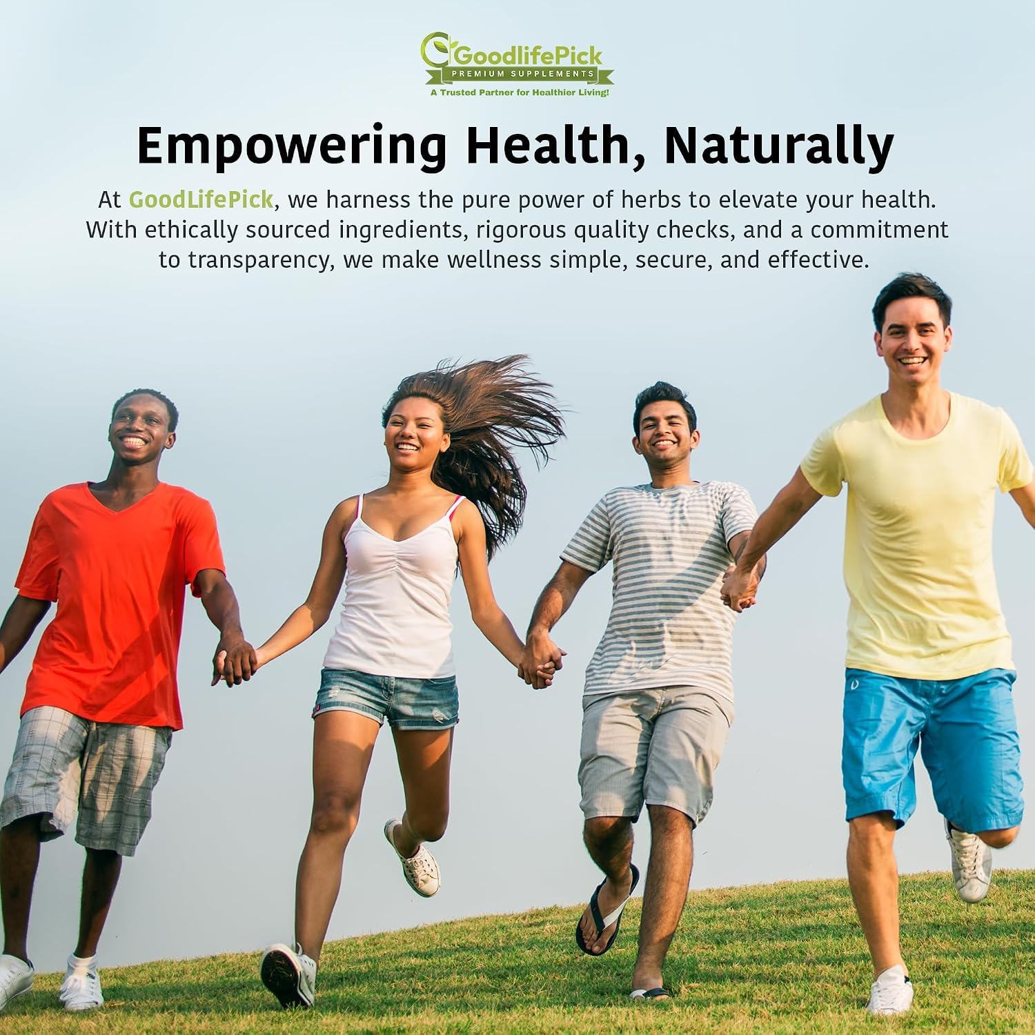 bioroot turmeric for active lifestyles