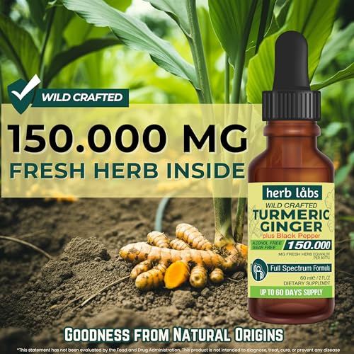 bioroot turmeric for brain function