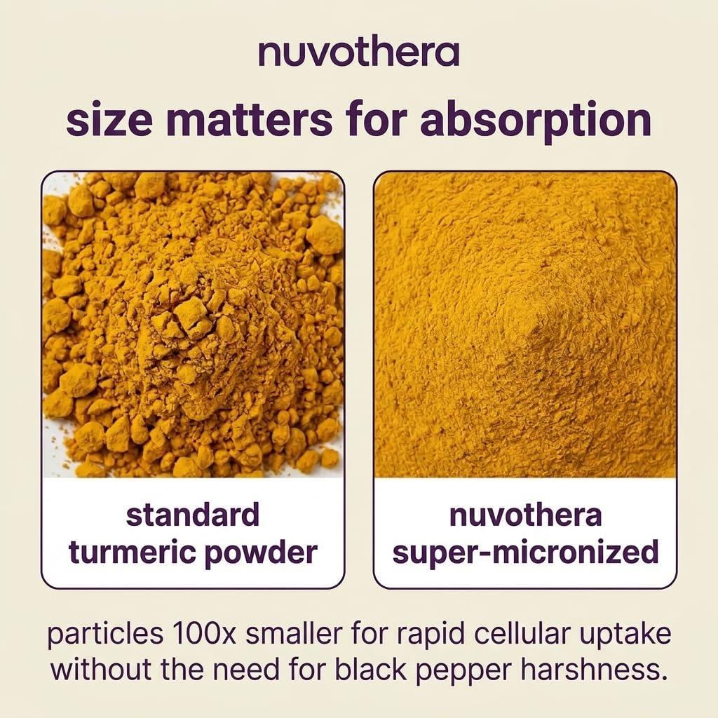 bioroot turmeric for daily health boost